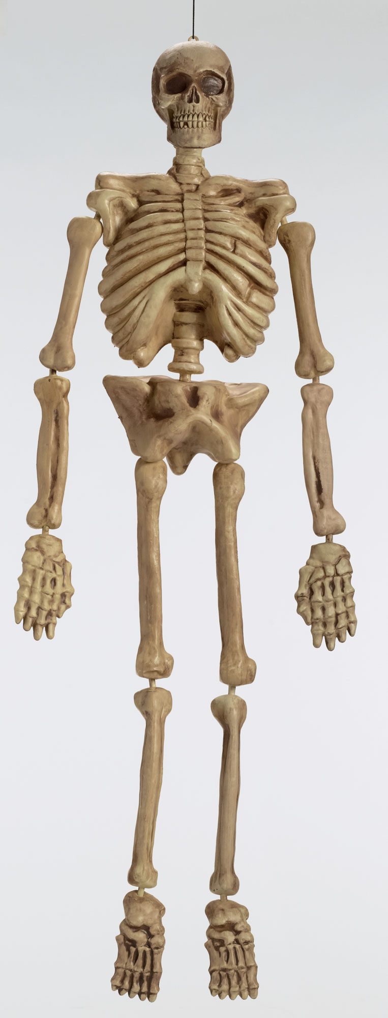 5 ft. Realistic Skeleton