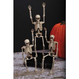 14" Posable Skeleton